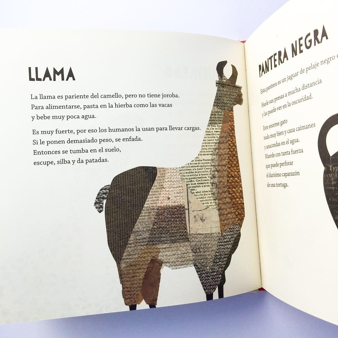 Books in Spanish for kids - Color animal – Cuentology