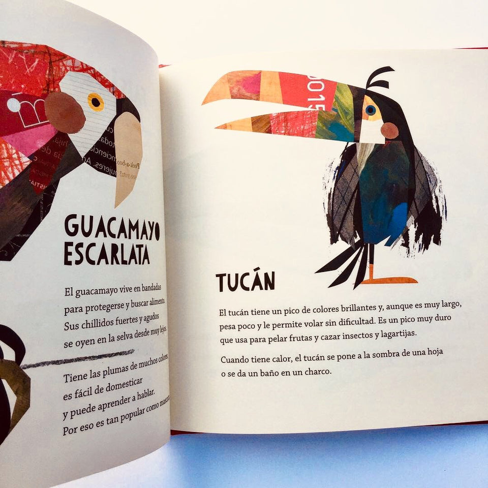 Books in Spanish for kids - Color animal – Cuentology